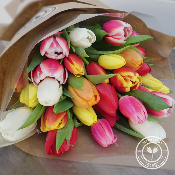 Tulip Wrap Bouquet :: Carrollwood Florist