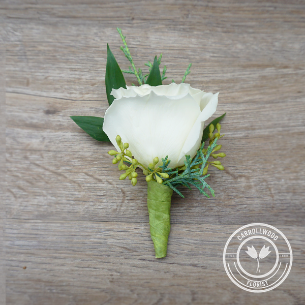 Rose Boutonniere :: Carrollwood Florist