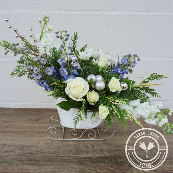 Snowball :: Carrollwood Florist