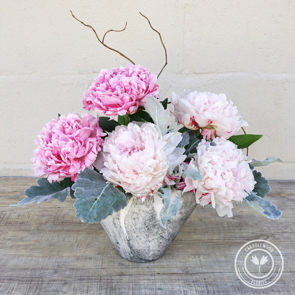 Elise :: Carrollwood Florist