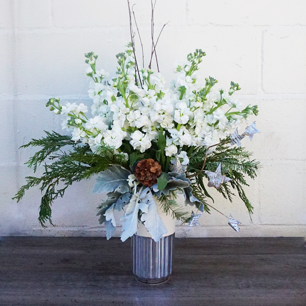 Comet :: Carrollwood Florist