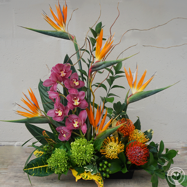 Moana :: Carrollwood Florist