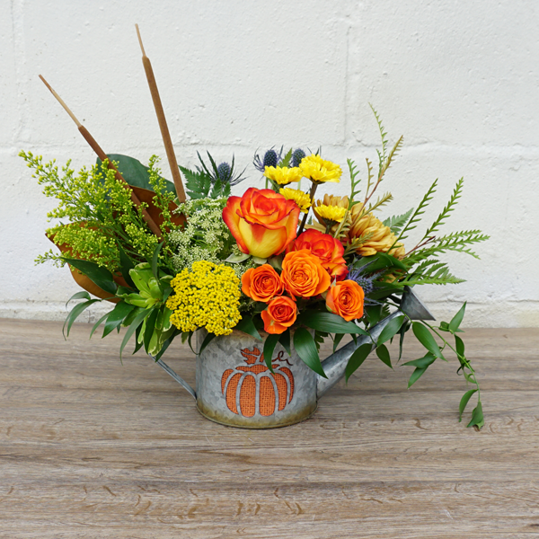 Ella :: Carrollwood Florist