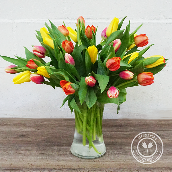 Lala :: Carrollwood Florist