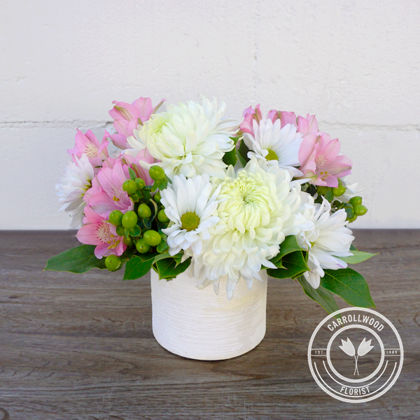 Maggie :: Carrollwood Florist