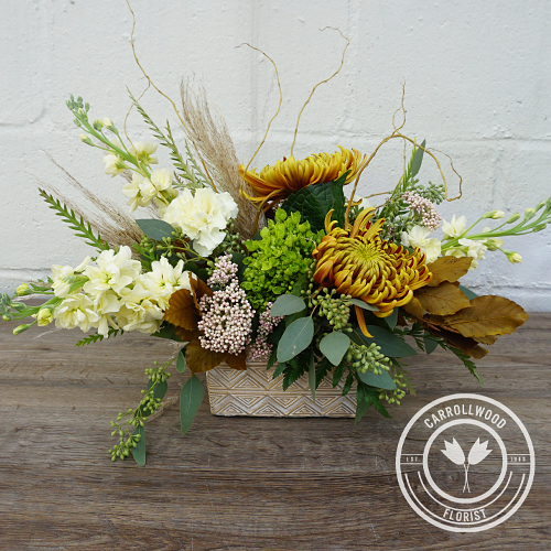 Sasha :: Carrollwood Florist