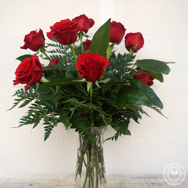Standard Dozen Colored Roses :: Carrollwood Florist